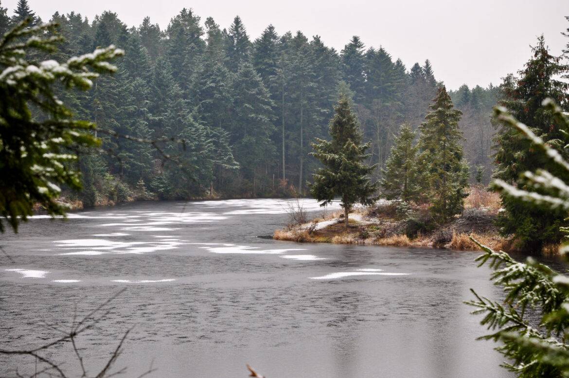 Roztocze najciekawsze atrakcje - 11 miejsc, które warto zobaczyć