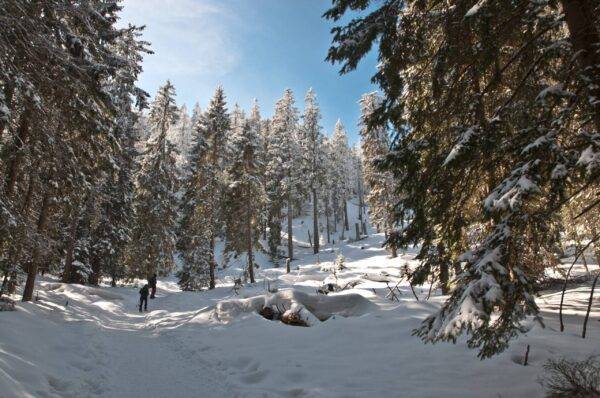 Babia Góra szlak: TOP 3 trasy, ile się idzie i skąd zacząć?