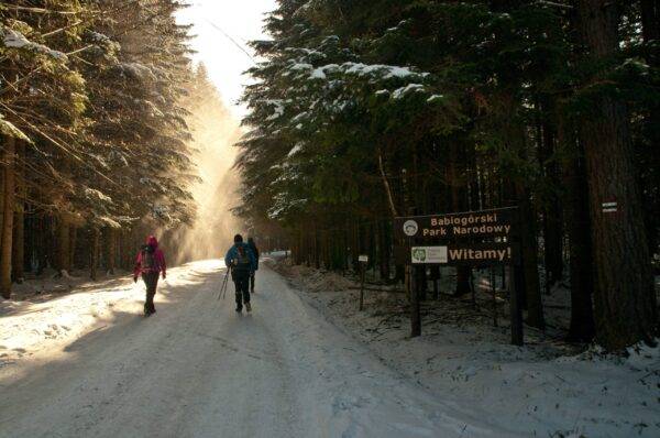 Babia Góra szlak: TOP 3 trasy, ile się idzie i skąd zacząć?