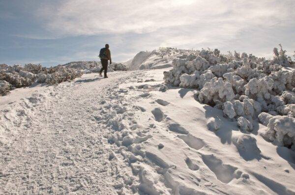 Babia Góra szlak: TOP 3 trasy, ile się idzie i skąd zacząć?
