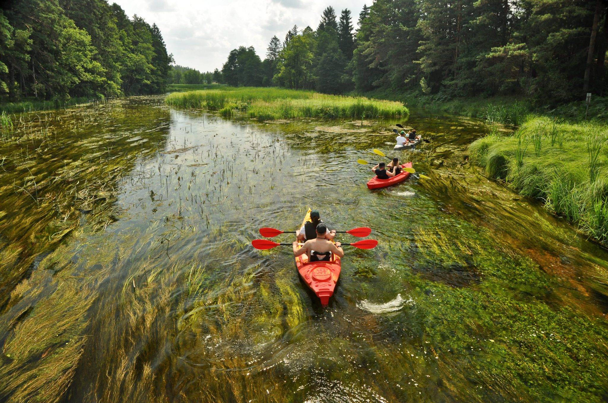 Jezioro Wigry: 10 atrakcji w Wigierskim Parku Narodowym