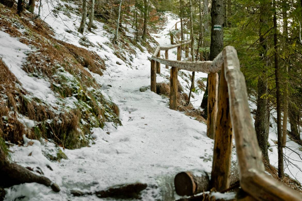 Szlak na Nosal: łatwa trasa z Kuźnic w Tatry, ile się idzie?