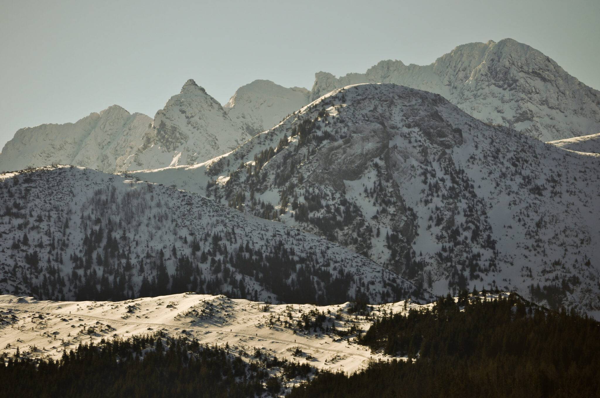 Szlak na Nosal: łatwa trasa z Kuźnic w Tatry, ile się idzie?