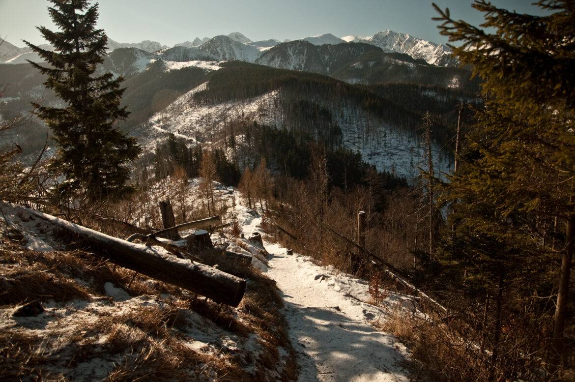 Szlak na Nosal: łatwa trasa z Kuźnic w Tatry, ile się idzie?