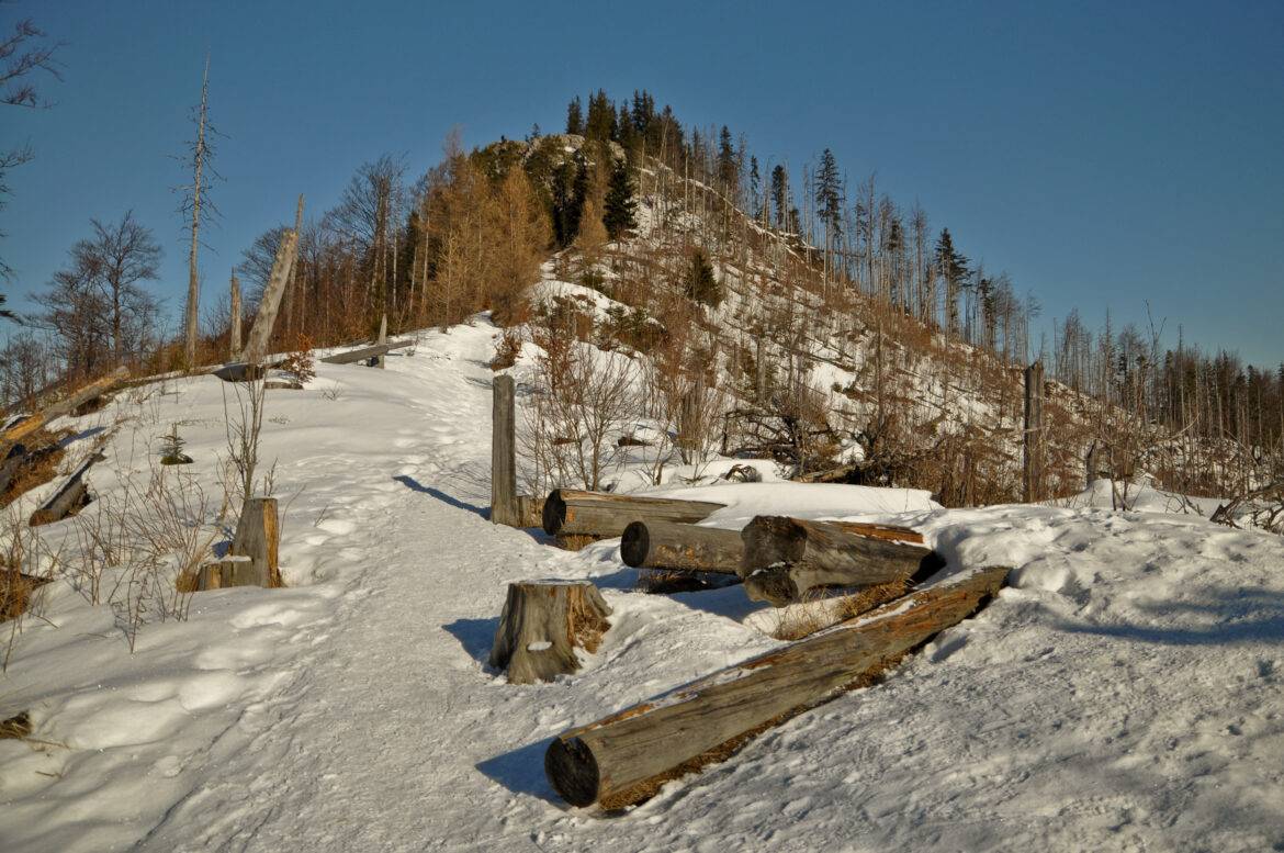 Szlak na Nosal: łatwa trasa z Kuźnic w Tatry, ile się idzie?
