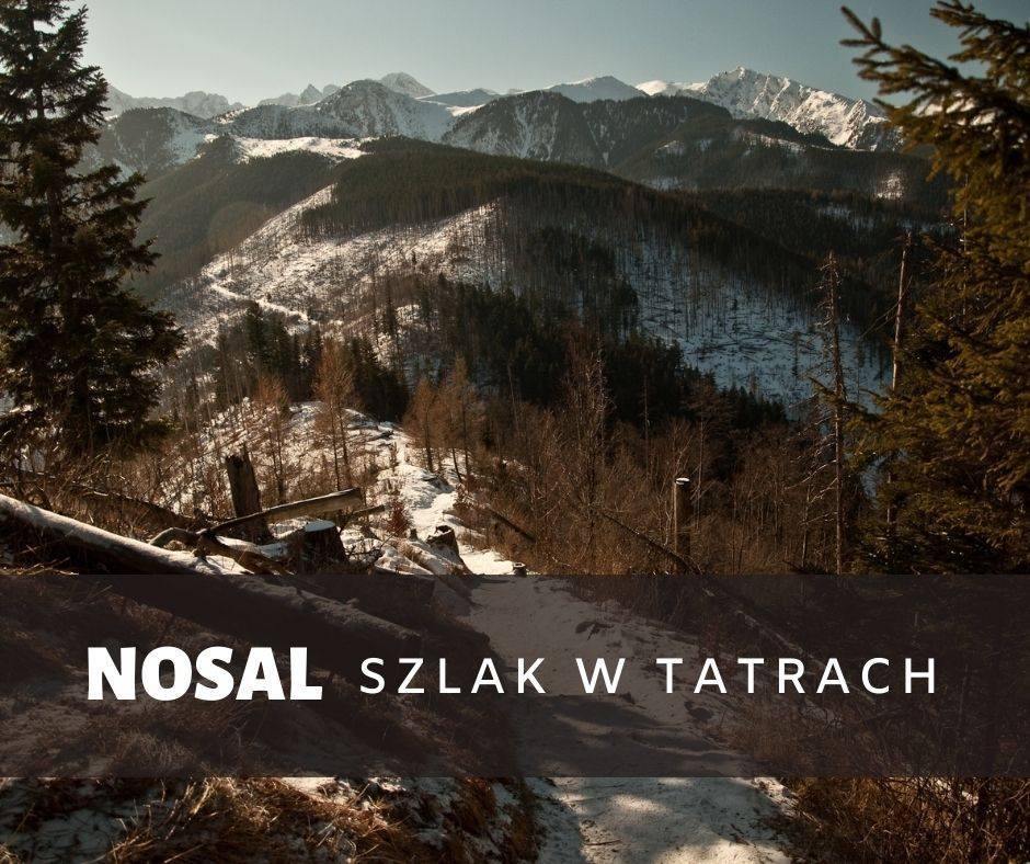 Szlak na Nosal: łatwa trasa z Kuźnic w Tatry, ile się idzie?