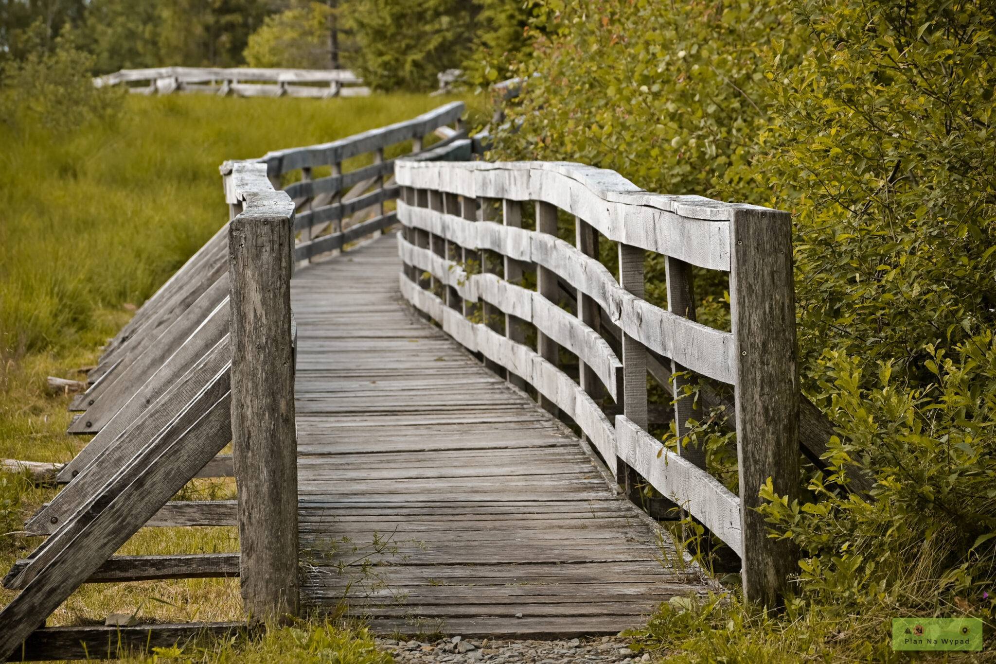Torfowisko Tarnawa Wyżna - atrakcje Bieszczad, łatwy szlak