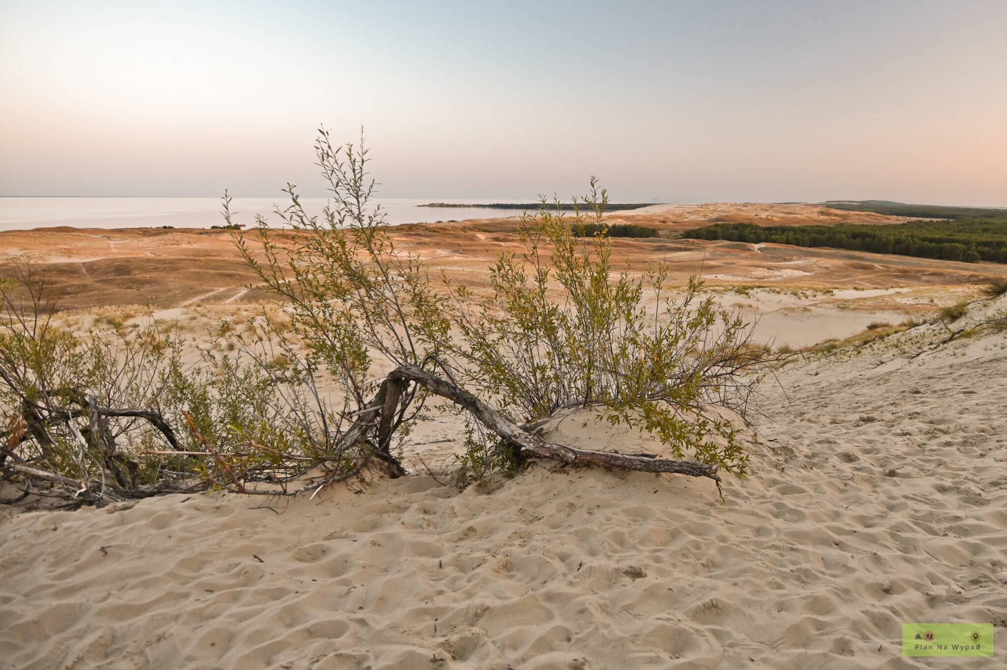 Mierzeja Kurońska (Litwa): niezwykłe atrakcje, wydmy, mapa