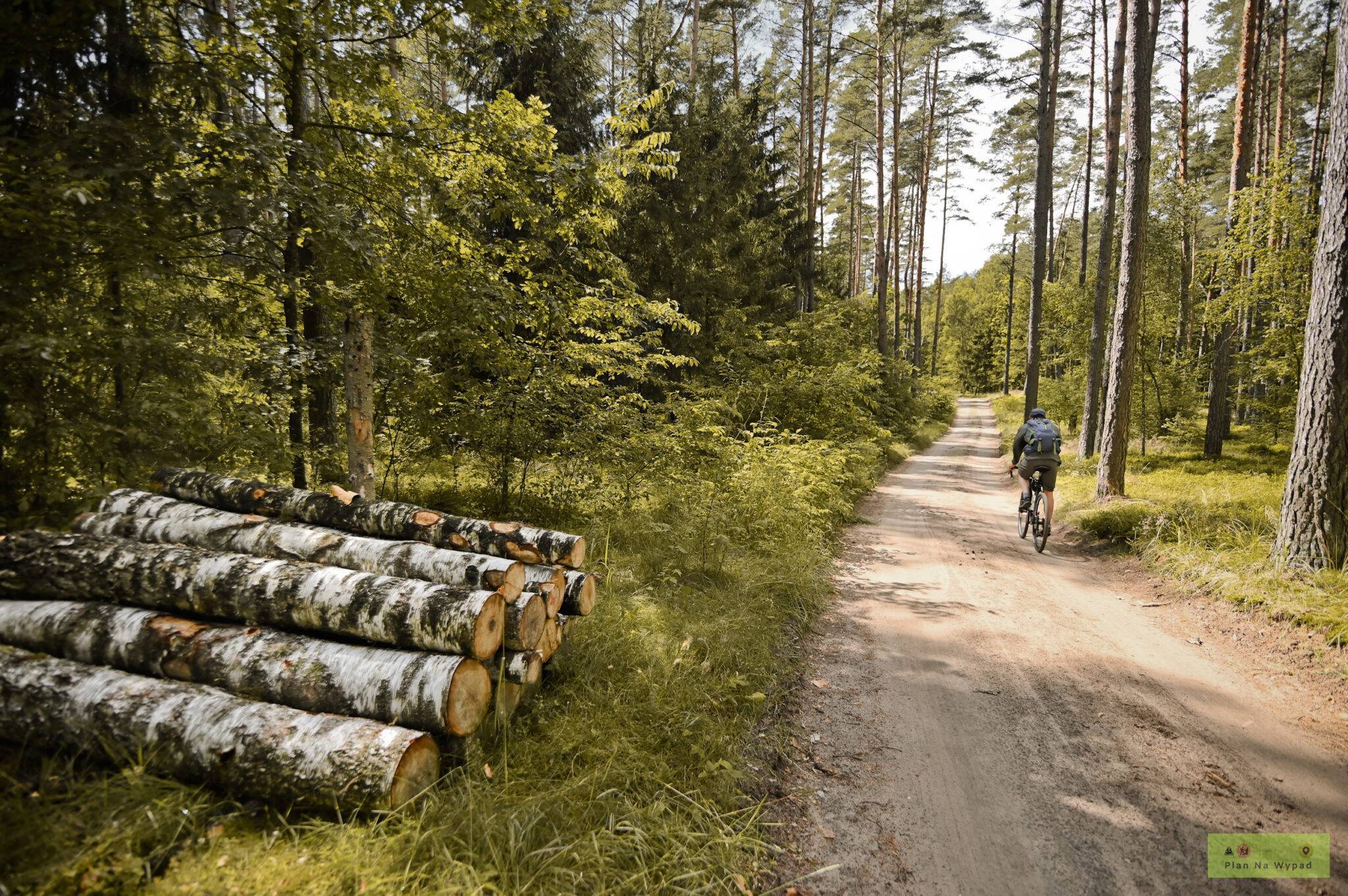 Szlaki rowerowe Augustowa: trasa wokół jeziora Białe Augustowskie