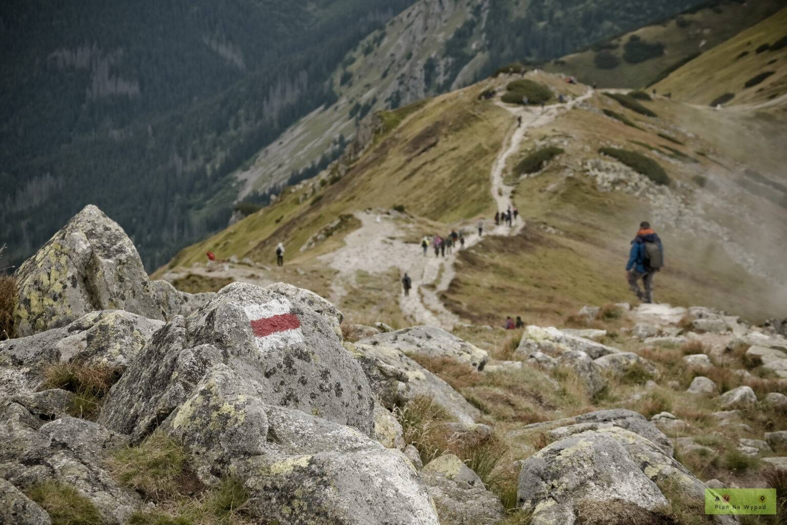 Goryczkowa Czuba i Suche Czuby: widokowy szlak, mapa