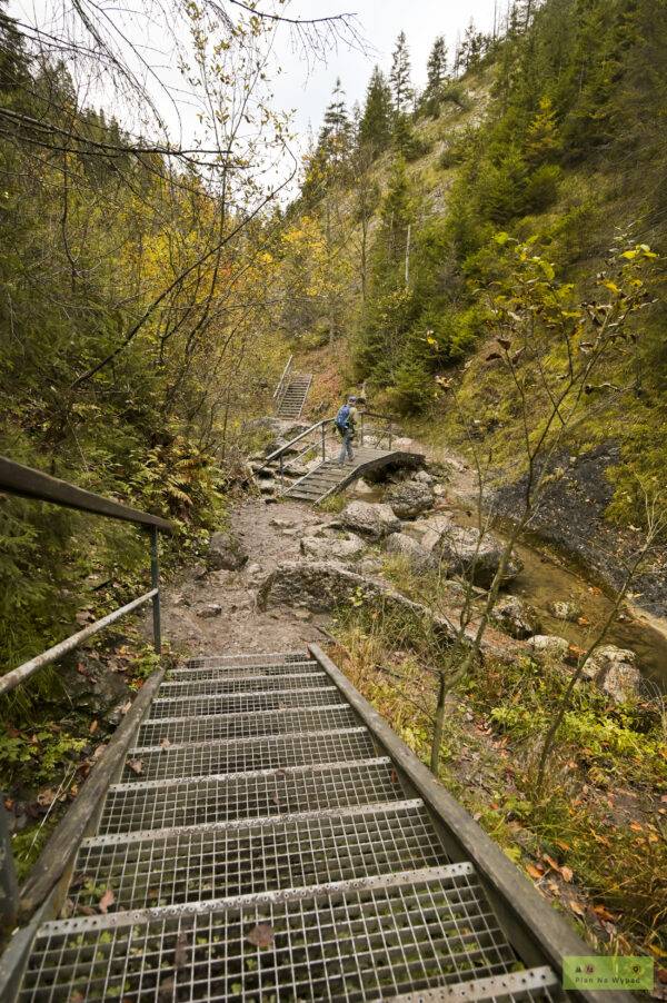 Wąwóz Homole: łatwy szlak Pienin, mapa trasy, ile się idzie?