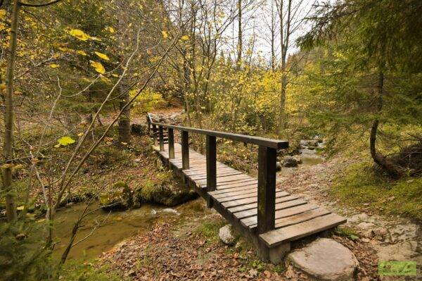 Wąwóz Homole: łatwy szlak Pienin, mapa trasy, ile się idzie?