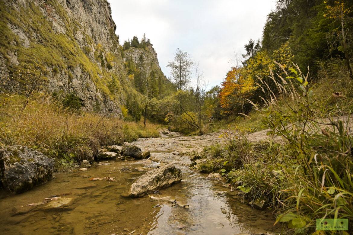 Wąwóz Homole: łatwy szlak Pienin, mapa trasy, ile się idzie?