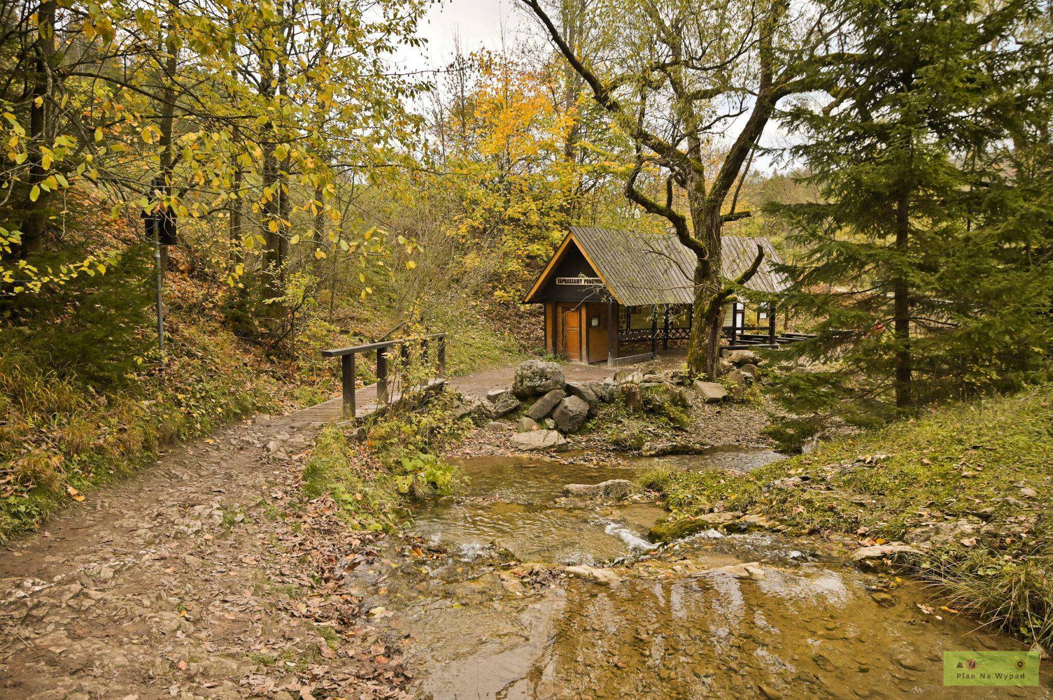 Wąwóz Homole: łatwy szlak Pienin, mapa trasy, ile się idzie?
