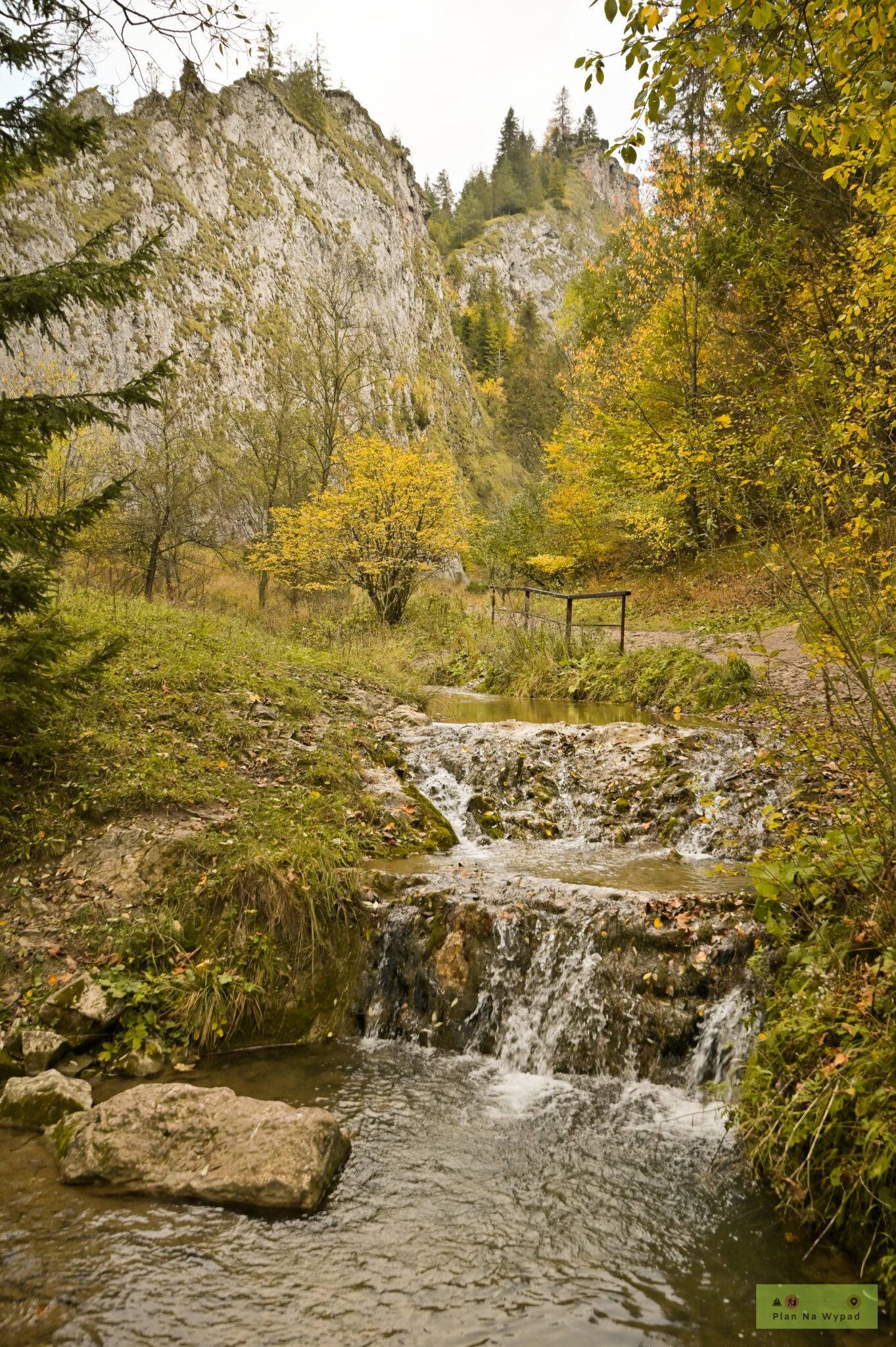 Wąwóz Homole: łatwy szlak Pienin, mapa trasy, ile się idzie?