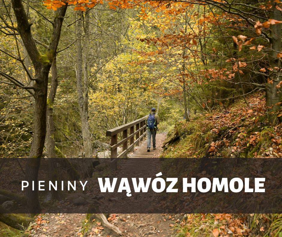 Wąwóz Homole: łatwy szlak Pienin, mapa trasy, ile się idzie?