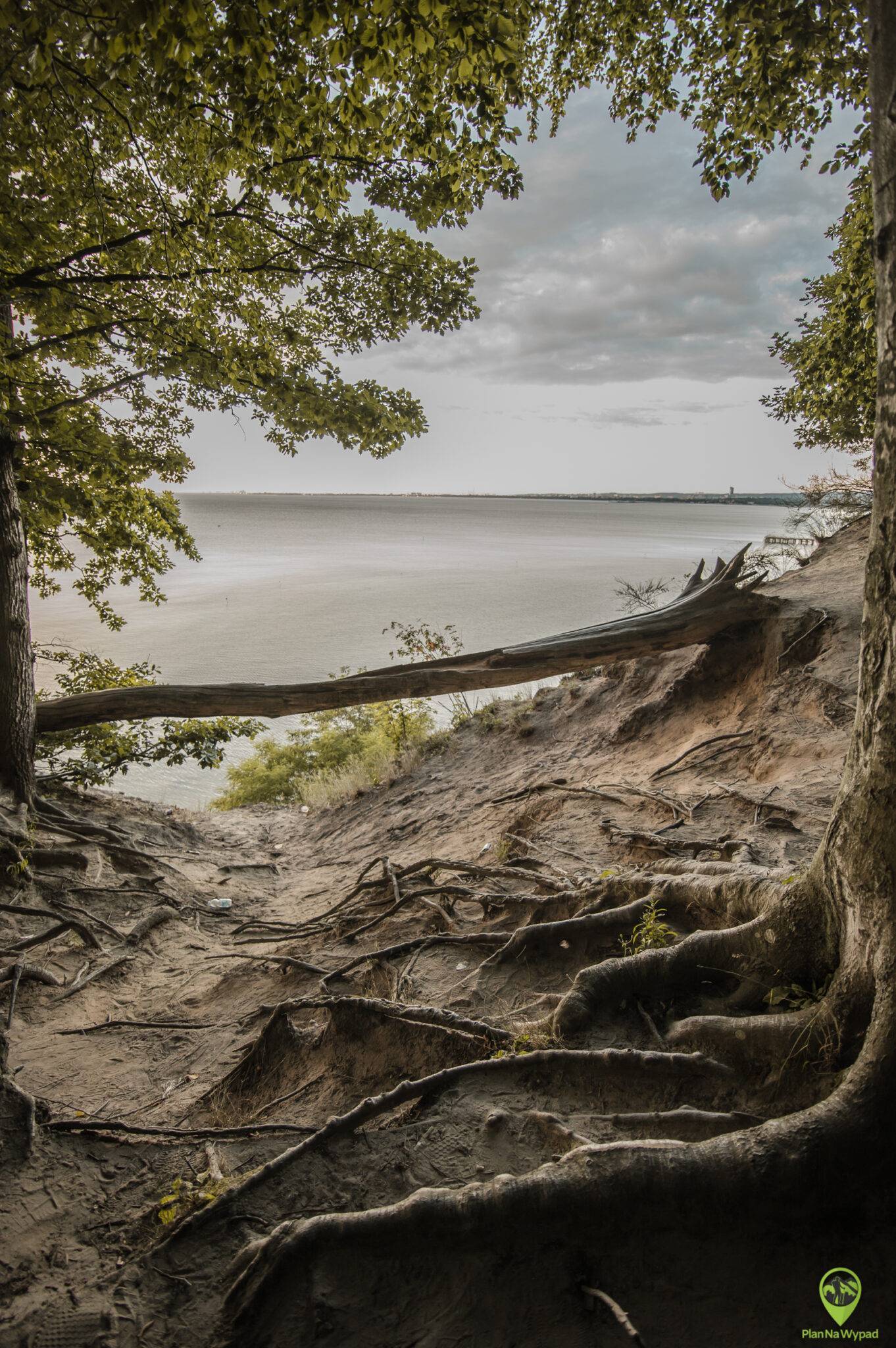 Klif Orłowski: najkrótszy szlak na punkt widokowy, mapa