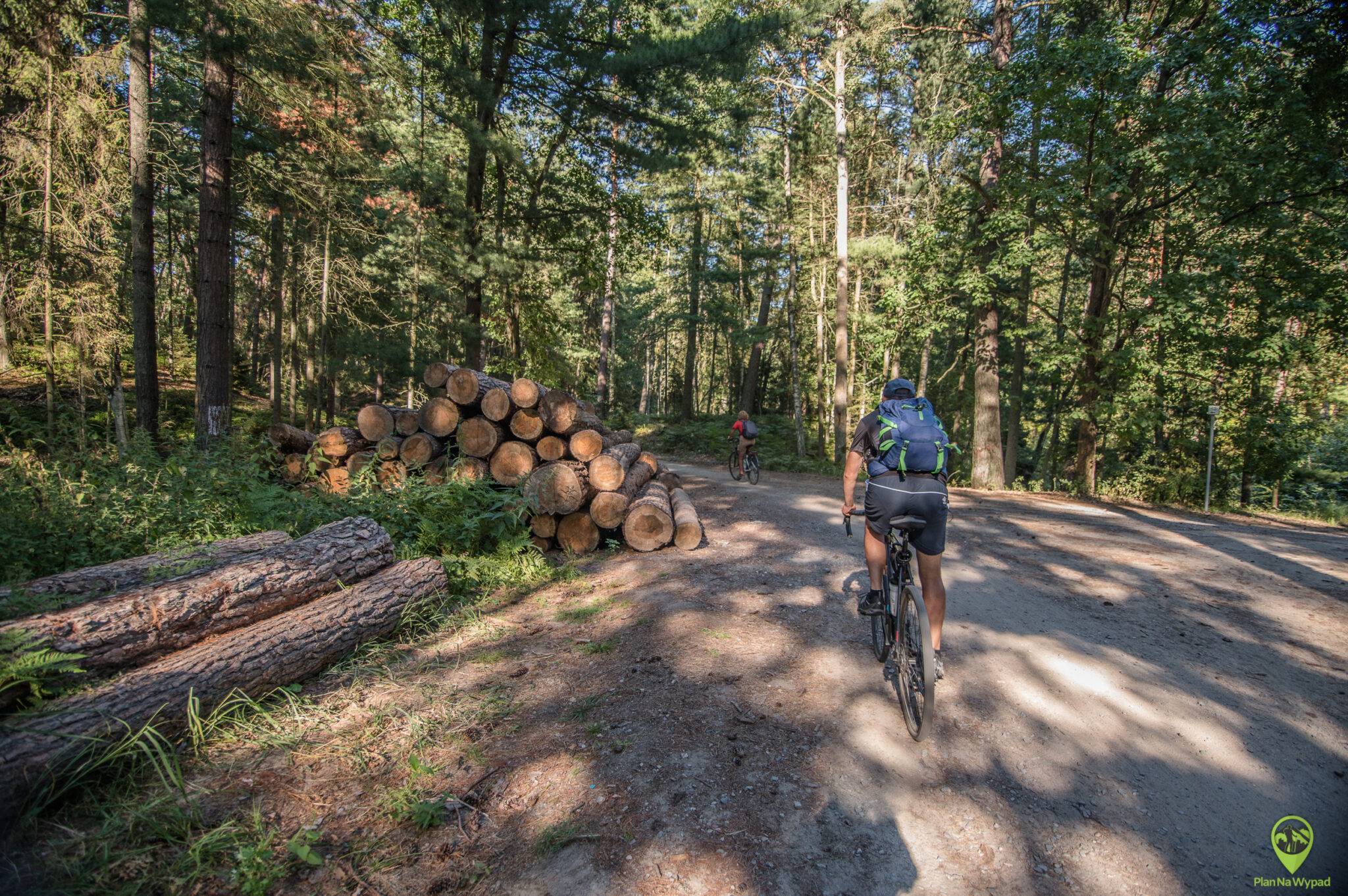 Trasa Rowerowa Mierzei Wiślanej R10 Mikoszewo-Piaski