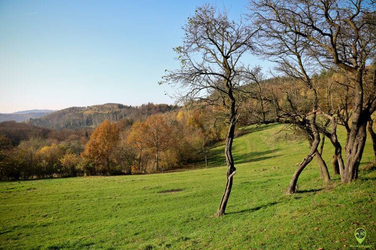 Jamna: TOP 5 atrakcji, zwiedzanie, co warto zobaczyć?