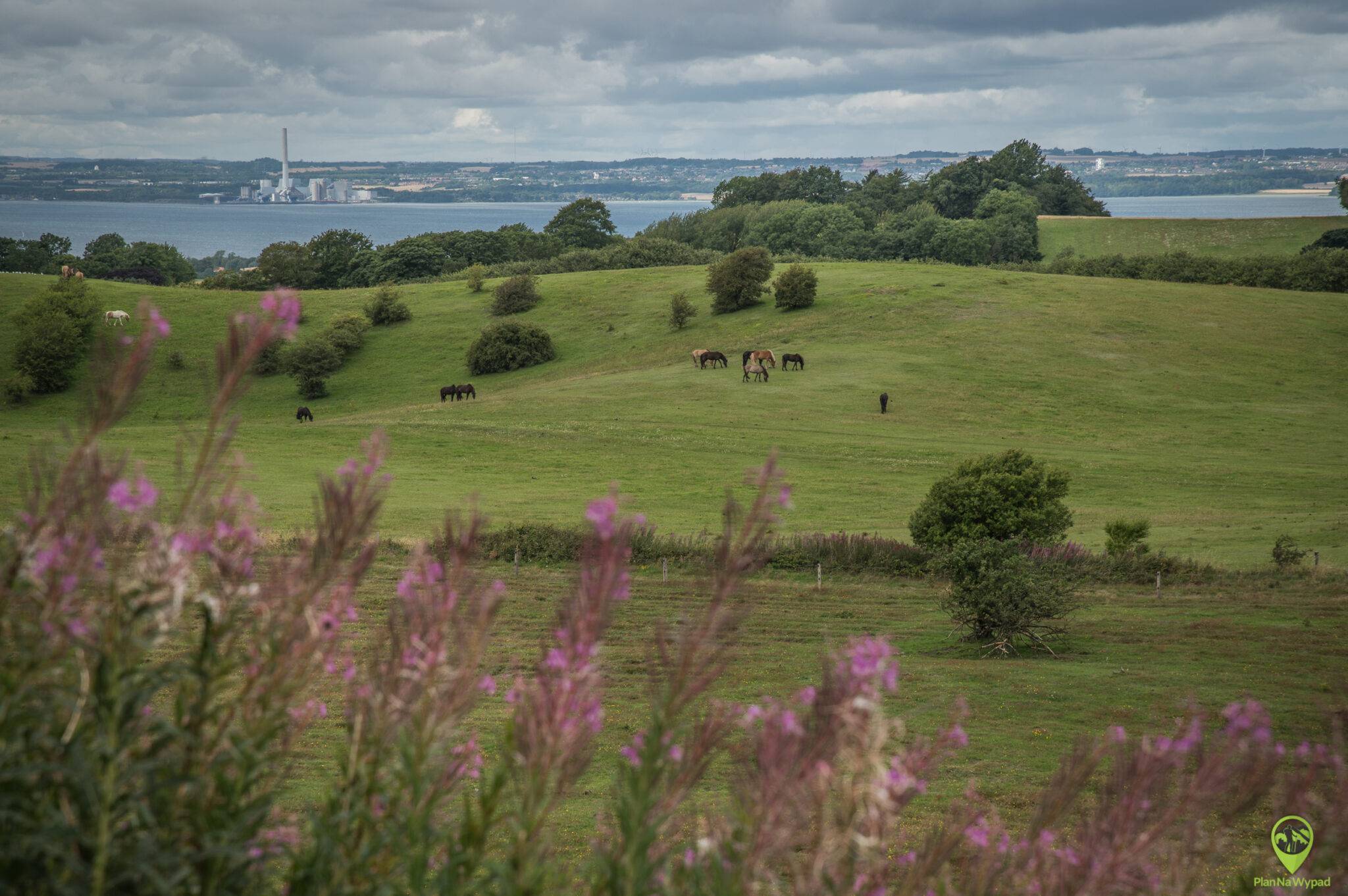 Mols Bjerge Park Narodowy Dania: zwiedzanie atrakcji, mapa
