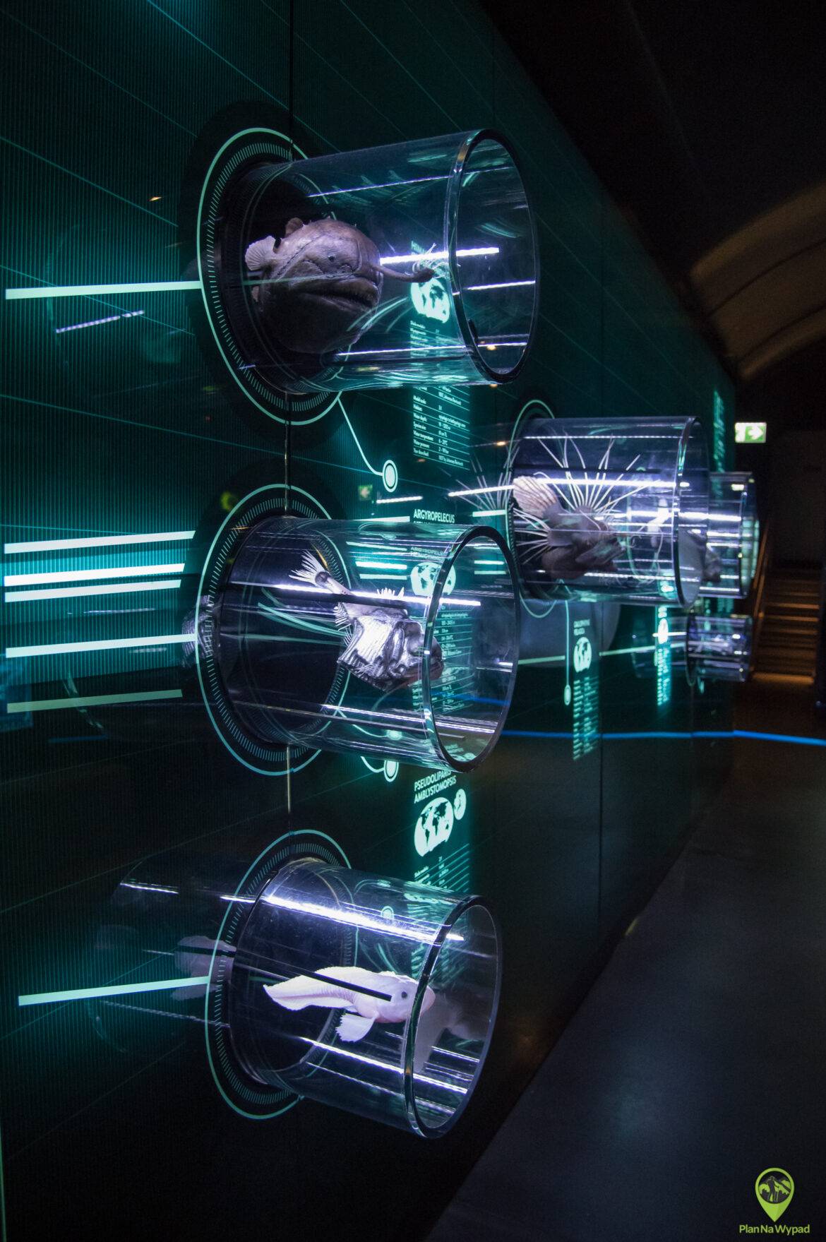 Hydropolis Wrocław: zwiedzanie, atrakcje dla dzieci, cennik