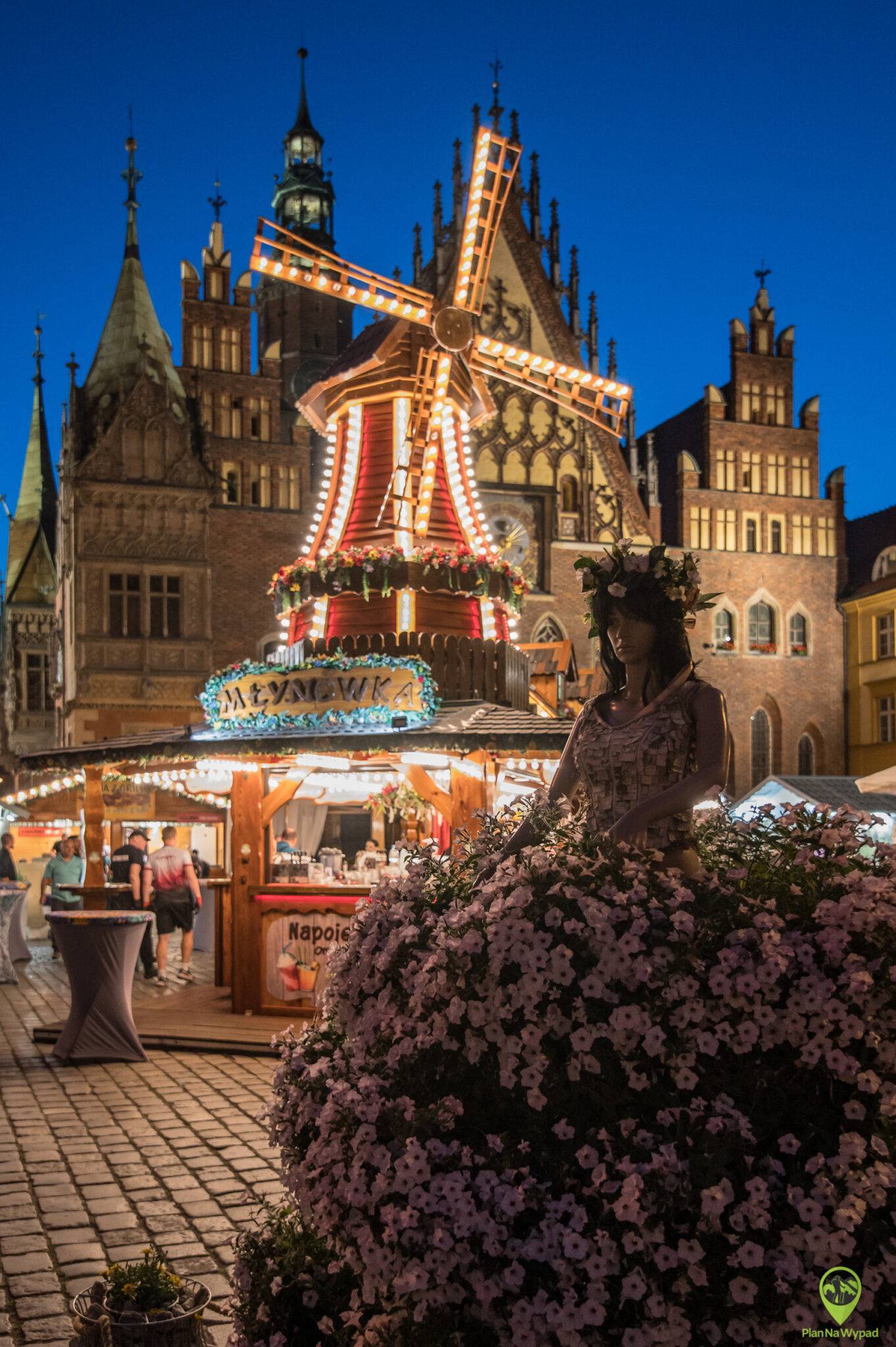 Wrocław atrakcje, zwiedzanie 20 miejsc, które warto zobaczyć