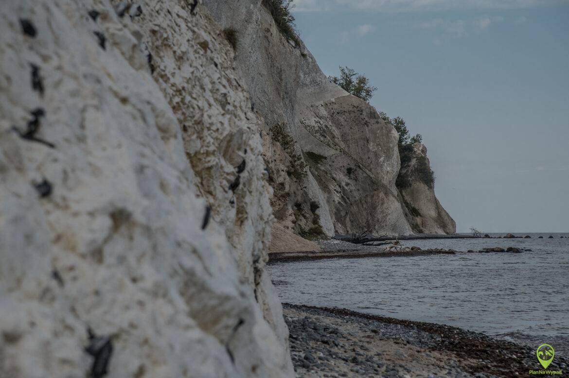 Møns Klint: największe klify Bałtyku, zwiedzanie atrakcji Danii