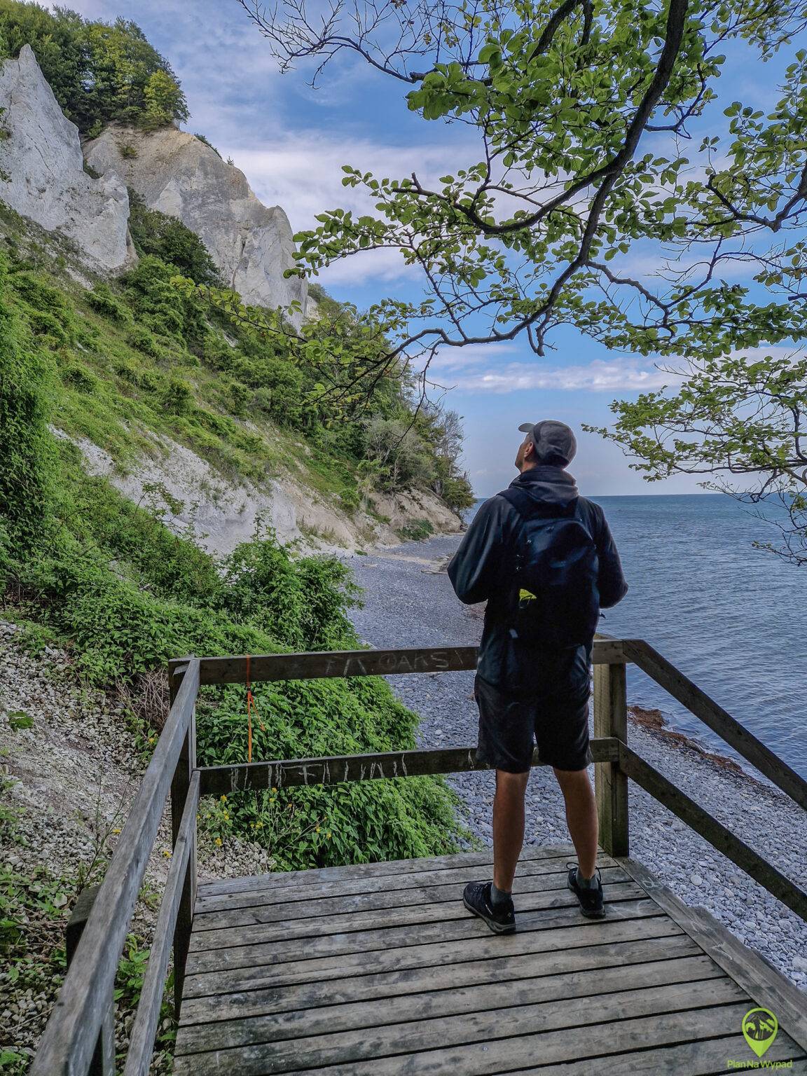 Møns Klint: największe klify Bałtyku, zwiedzanie atrakcji Danii
