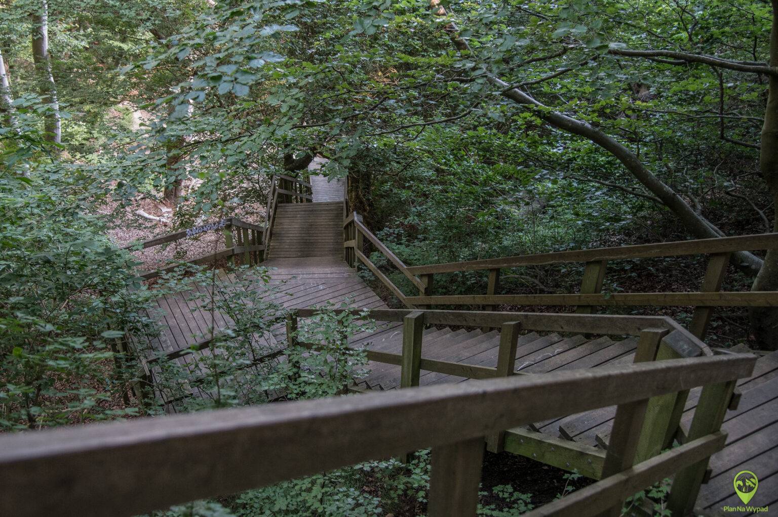 Møns Klint: największe klify Bałtyku, zwiedzanie atrakcji Danii