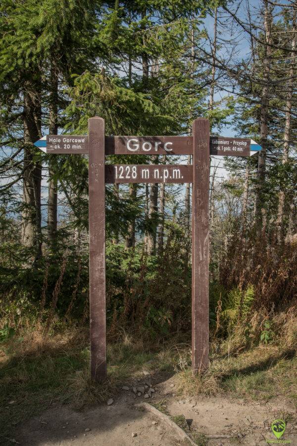 Szlak na Gorc: wieża widokowa, trasa w pętli, ile się idzie?