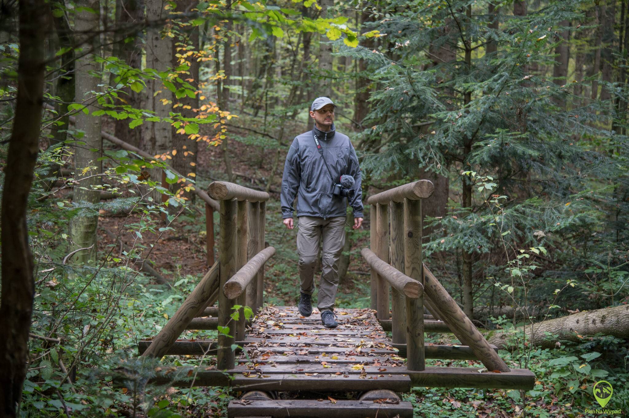 Krempna: TOP 5 atrakcji: ścieżka Kiczera, co warto zobaczyć?