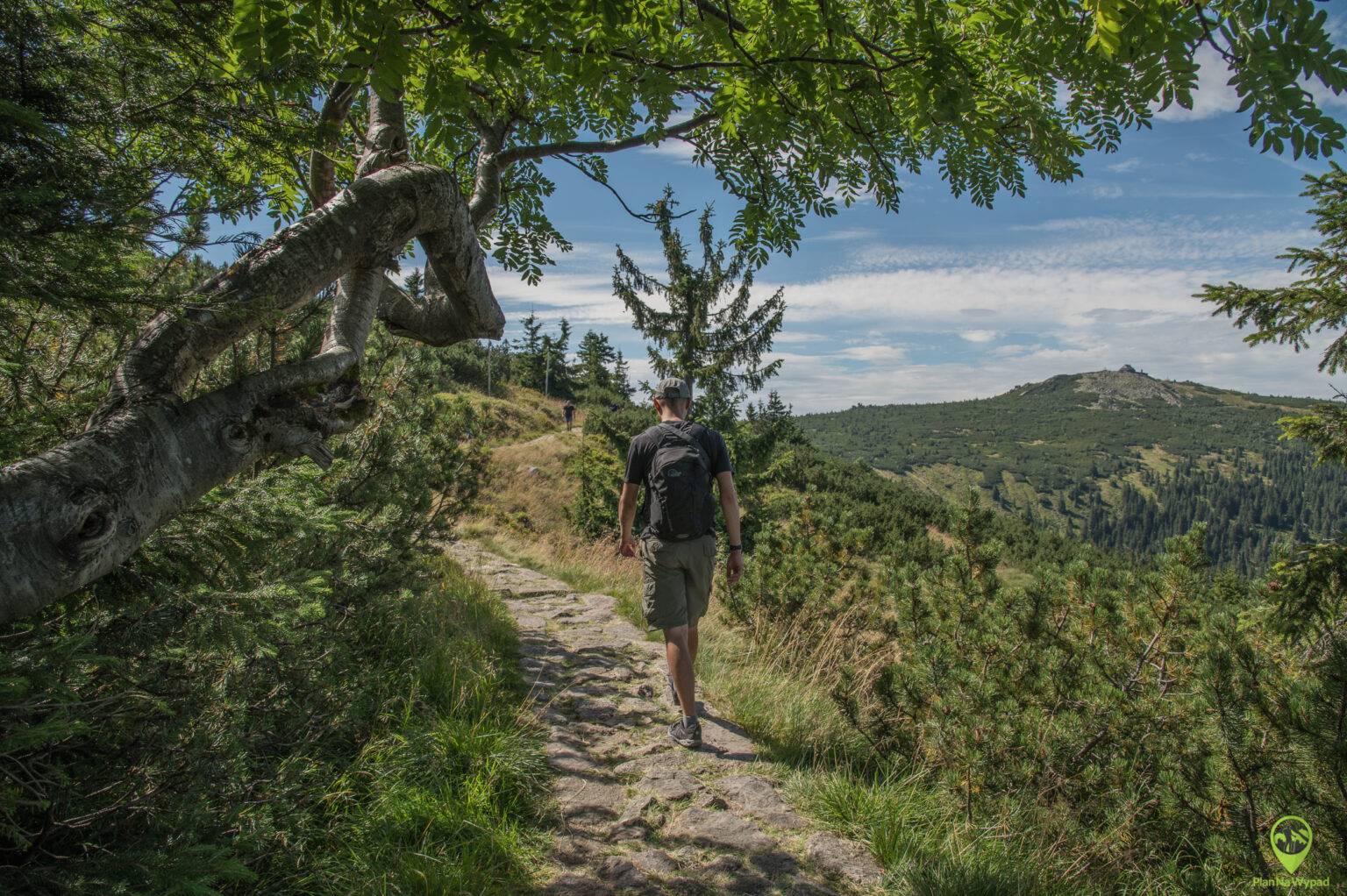 Karkonosze: najciekawsze szlaki. TOP 10 widokowych tras