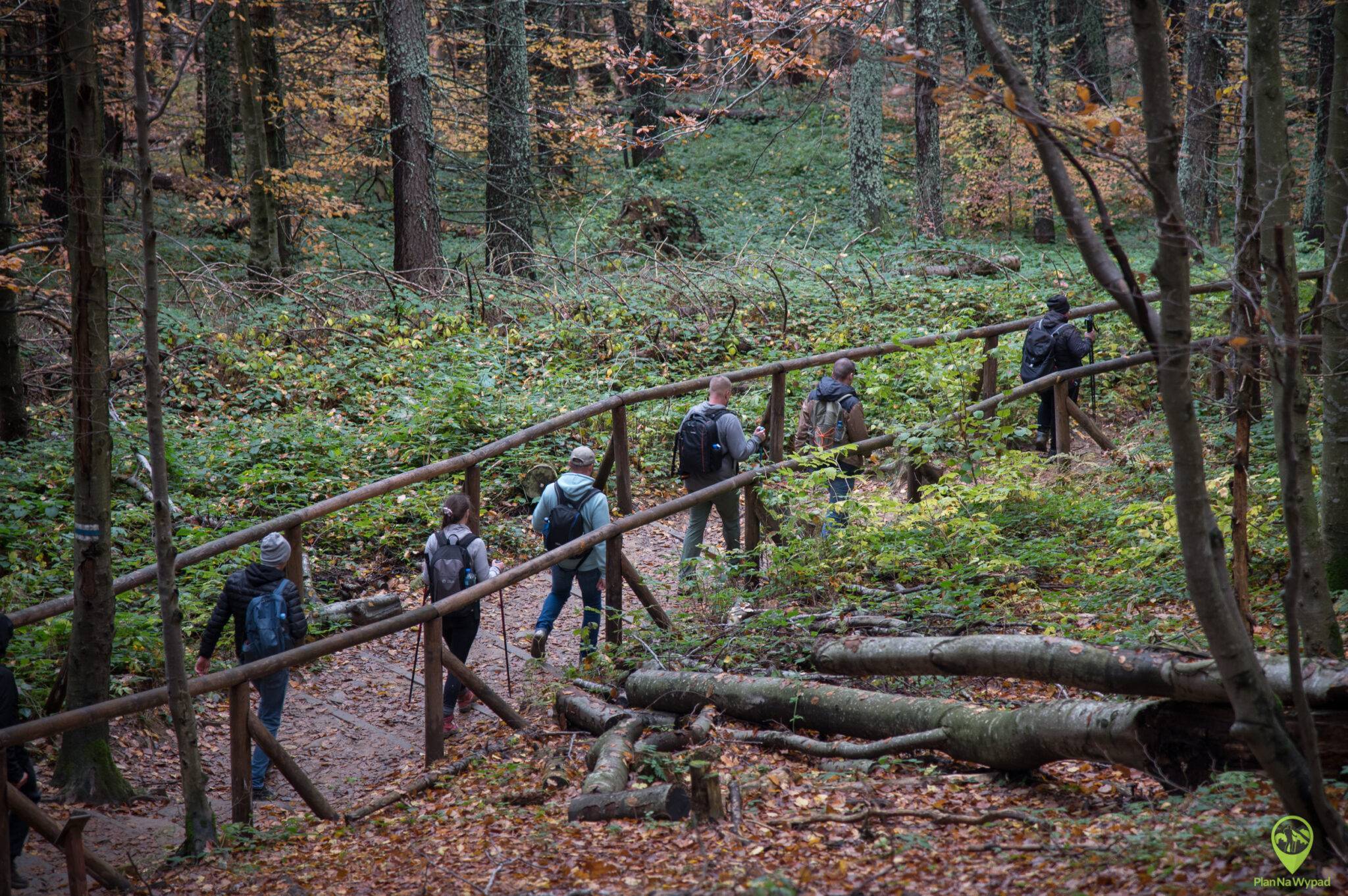 Bieszczady atrakcje i szlaki: 20 miejsc, które warto zobaczyć