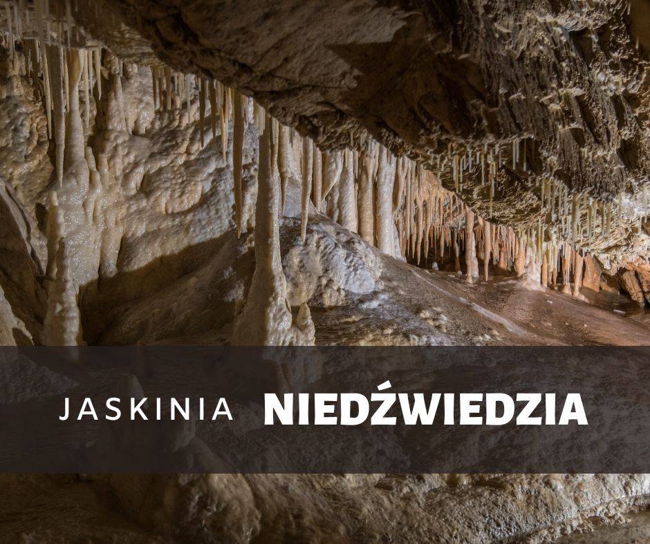 Jaskinia Niedźwiedzia w Kletnie - dojazd, cennik, zwiedzanie Jaskinia Niedźwiedzia w Kletnie - dojazd, cennik, zwiedzanie