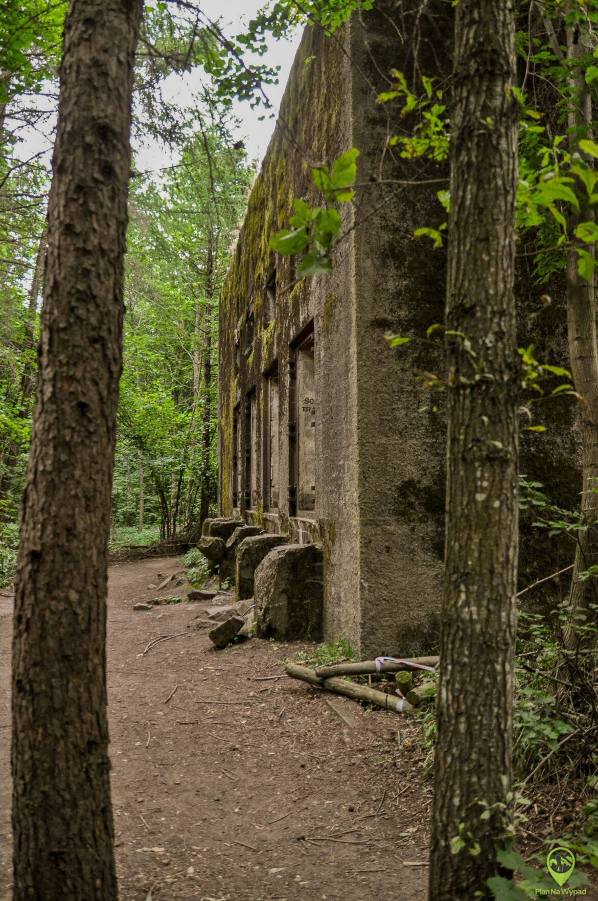 Mamerki bunkry na Mazurach, zwiedzanie, cennik, dojazd