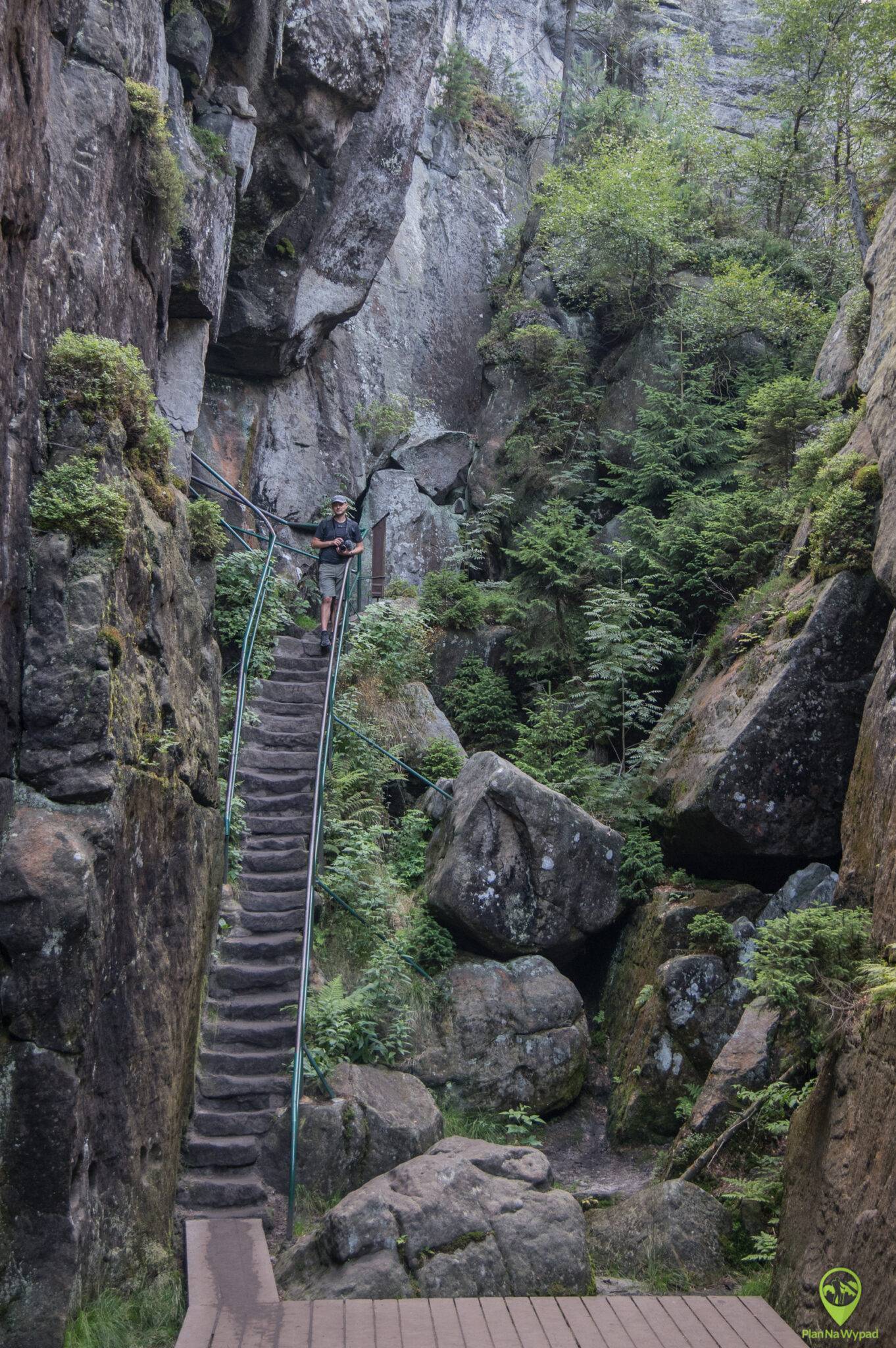 Szczeliniec Wielki trasa, dojazd, parking, szlak, cennik