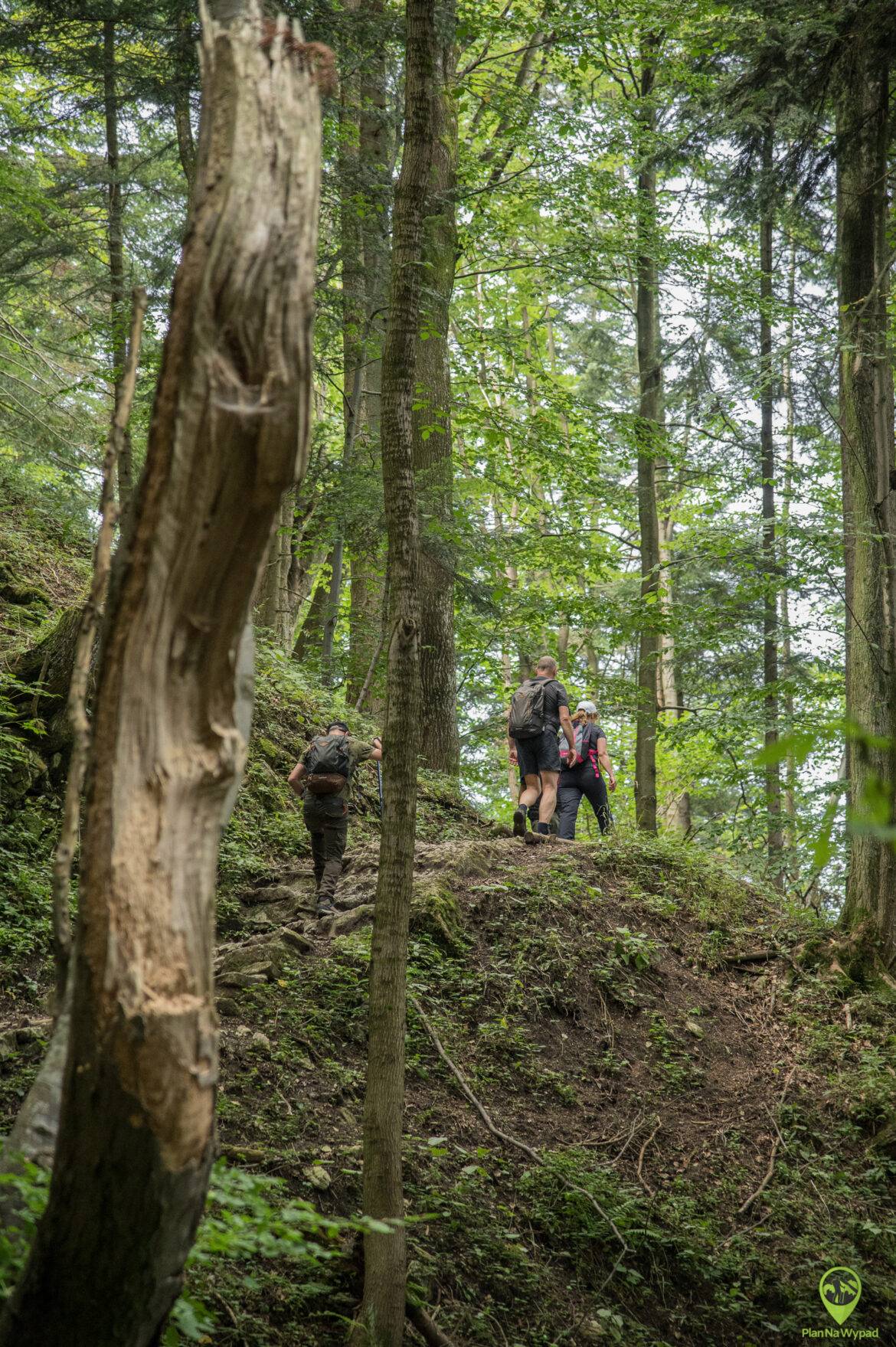 Szlak na Trzy Korony: TOP 3 trasy, ile się idzie? Mapa