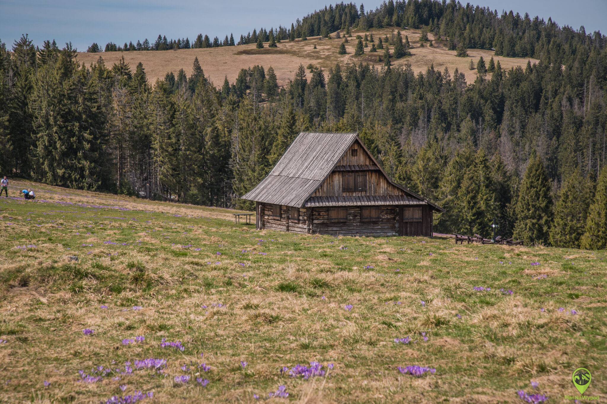 Turbacz szlaki: TOP 3 trasy, skąd wejść, ile się idzie? Mapa