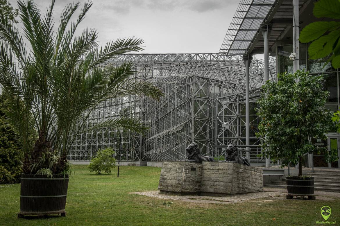 Śląsk: TOP 10 atrakcje i pomysły na weekend, co zobaczyć?