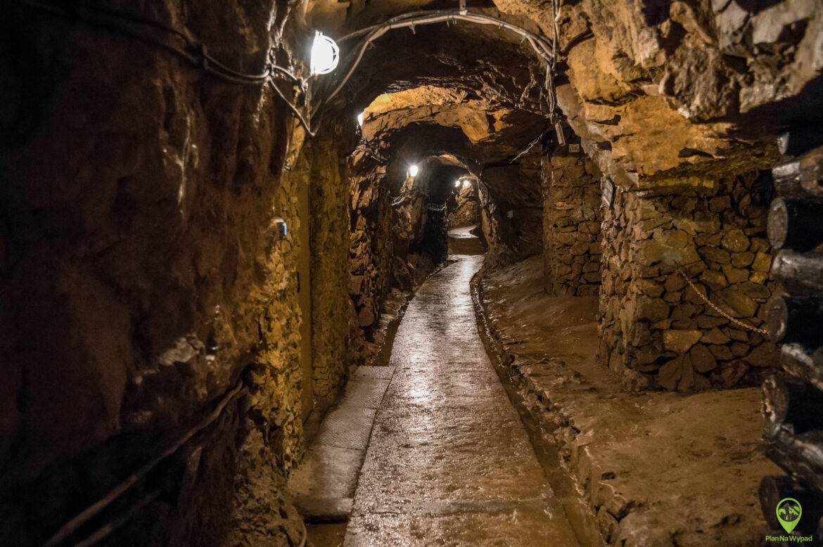 Kopalnia Srebra Tarnowskie Góry zwiedzanie, cennik, dojazd