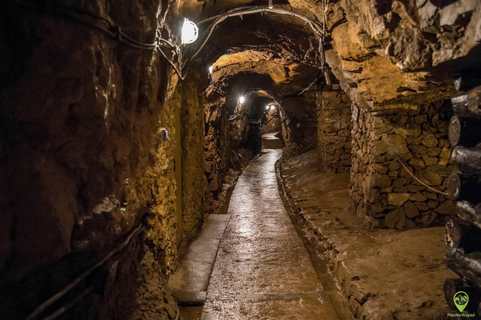 Kopalnia Srebra Tarnowskie Góry zwiedzanie, cennik, dojazd