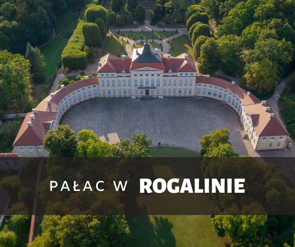 Rogalin: zwiedzanie pałacu, dęby rogalińskie, mapa atrakcji