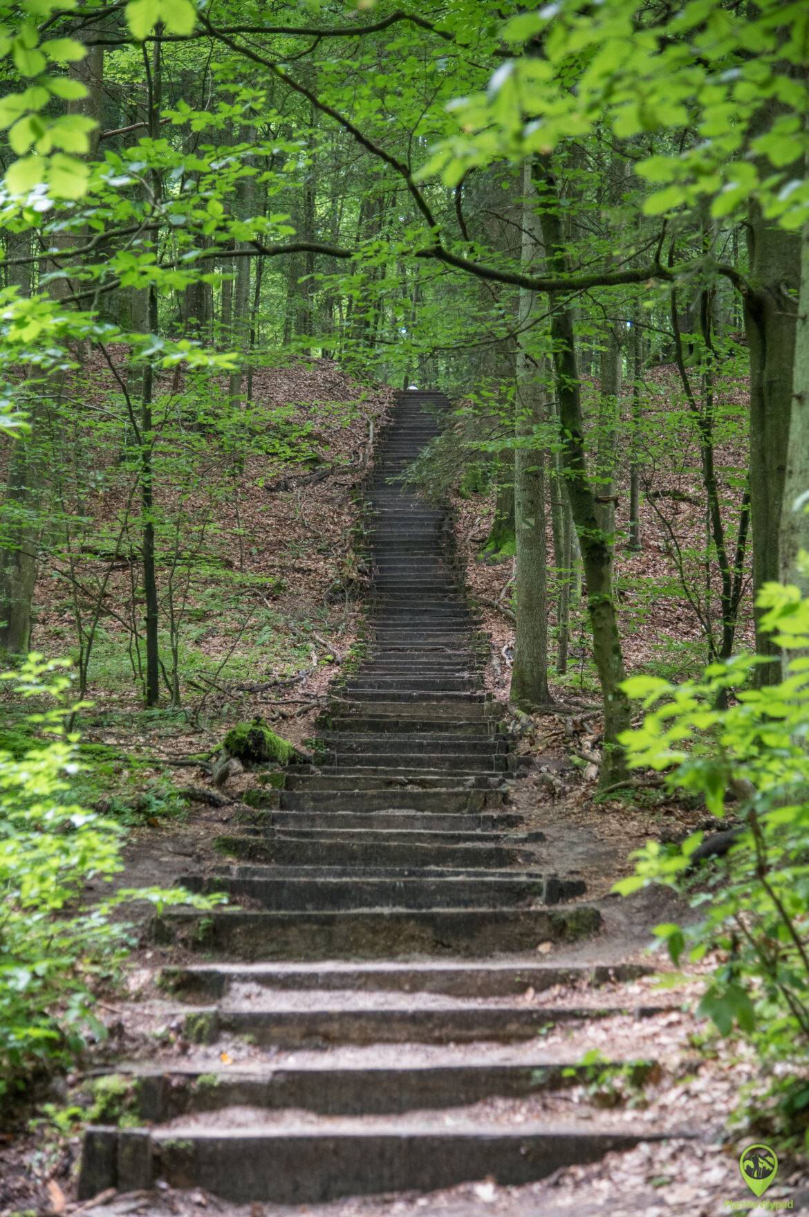 Roztoczański Park Narodowy: 10 wyjątkowych atrakcji i szlaków