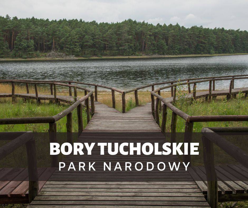 Bory Tucholskie: TOP 10 atrakcje i szlaki, co warto zobaczyć?