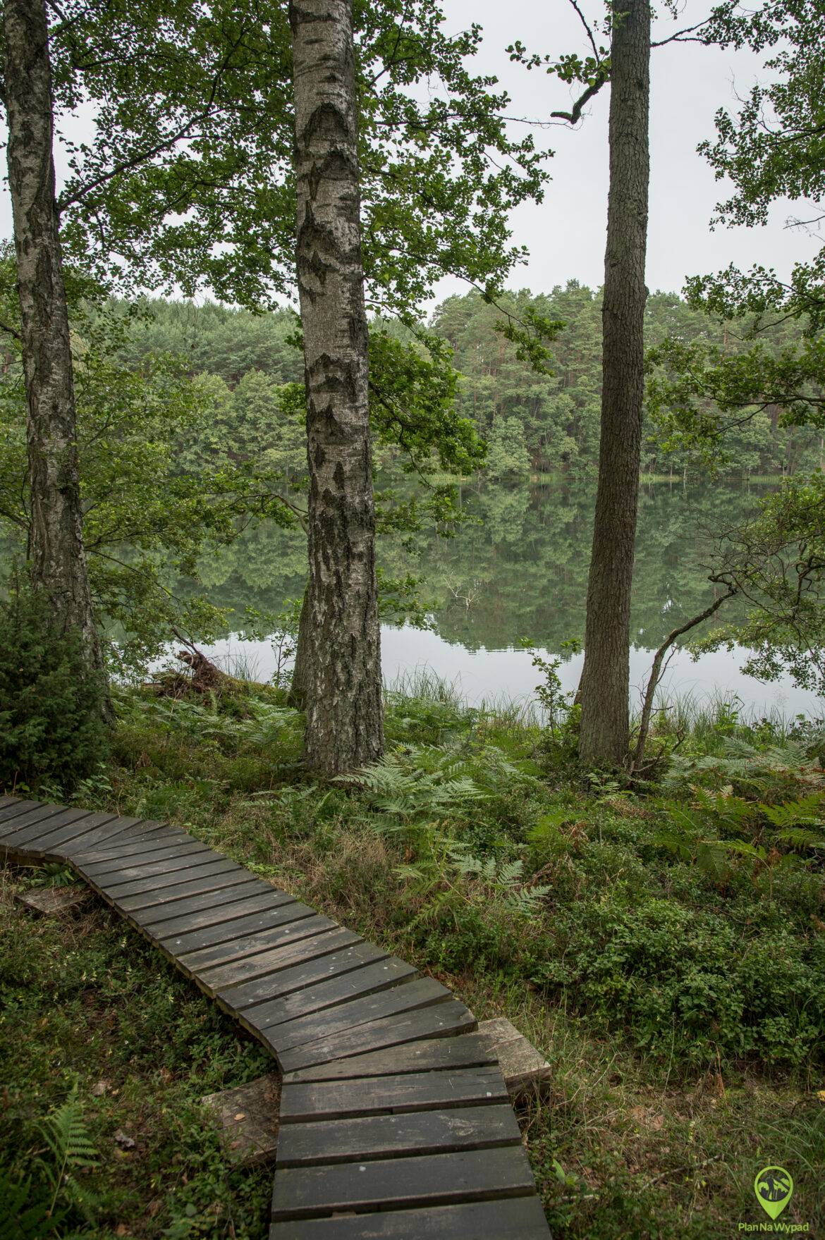Bory Tucholskie: TOP 10 atrakcje i szlaki, co warto zobaczyć?