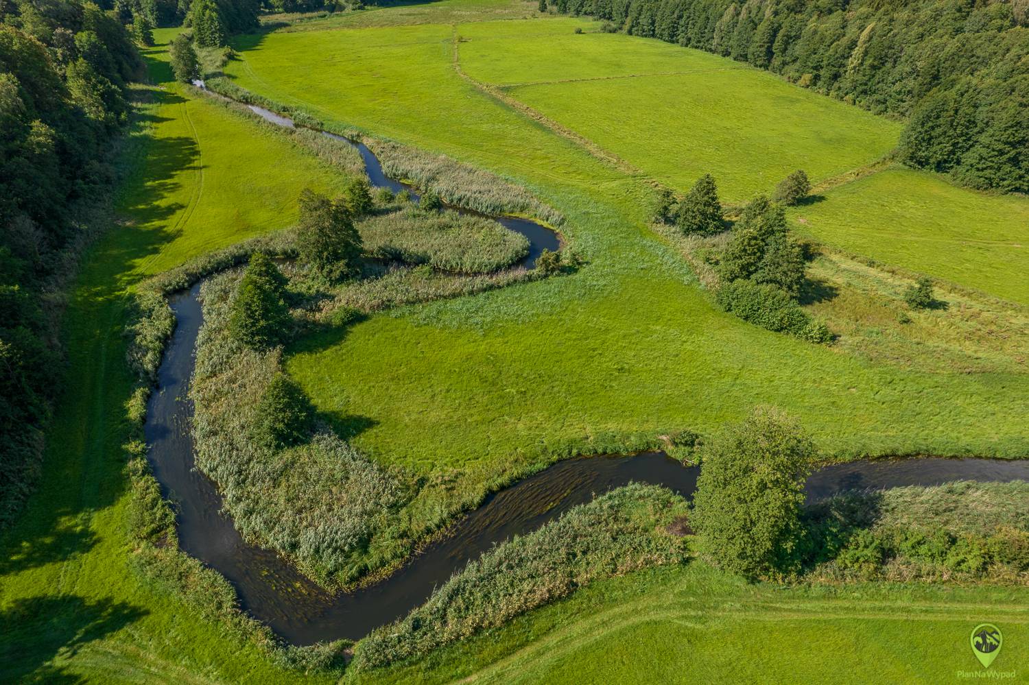 Rospuda: najciekawszy szlak kajakowy na jednodniowy spływ