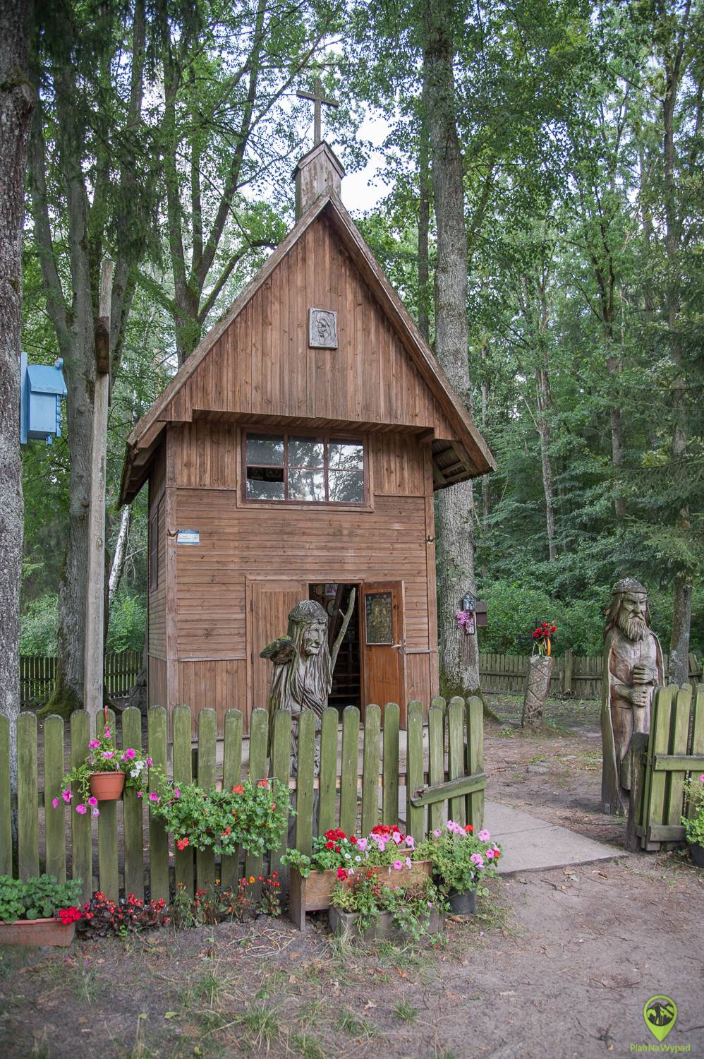 Rospuda: najciekawszy szlak kajakowy na jednodniowy spływ