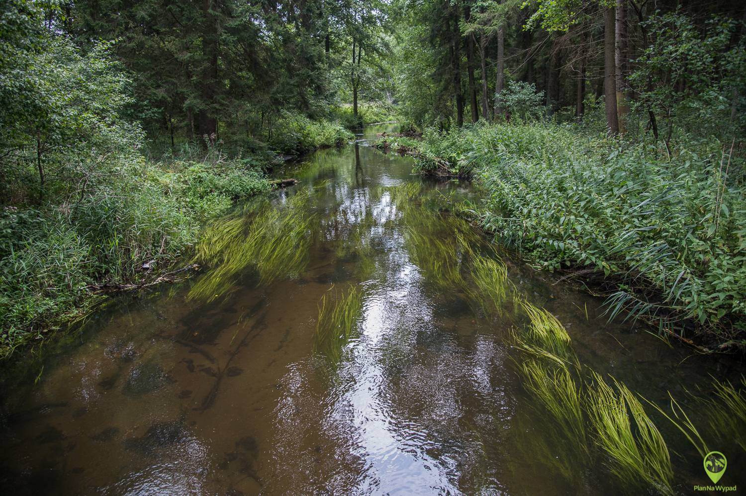 Jezioro Wigry: 10 atrakcji w Wigierskim Parku Narodowym