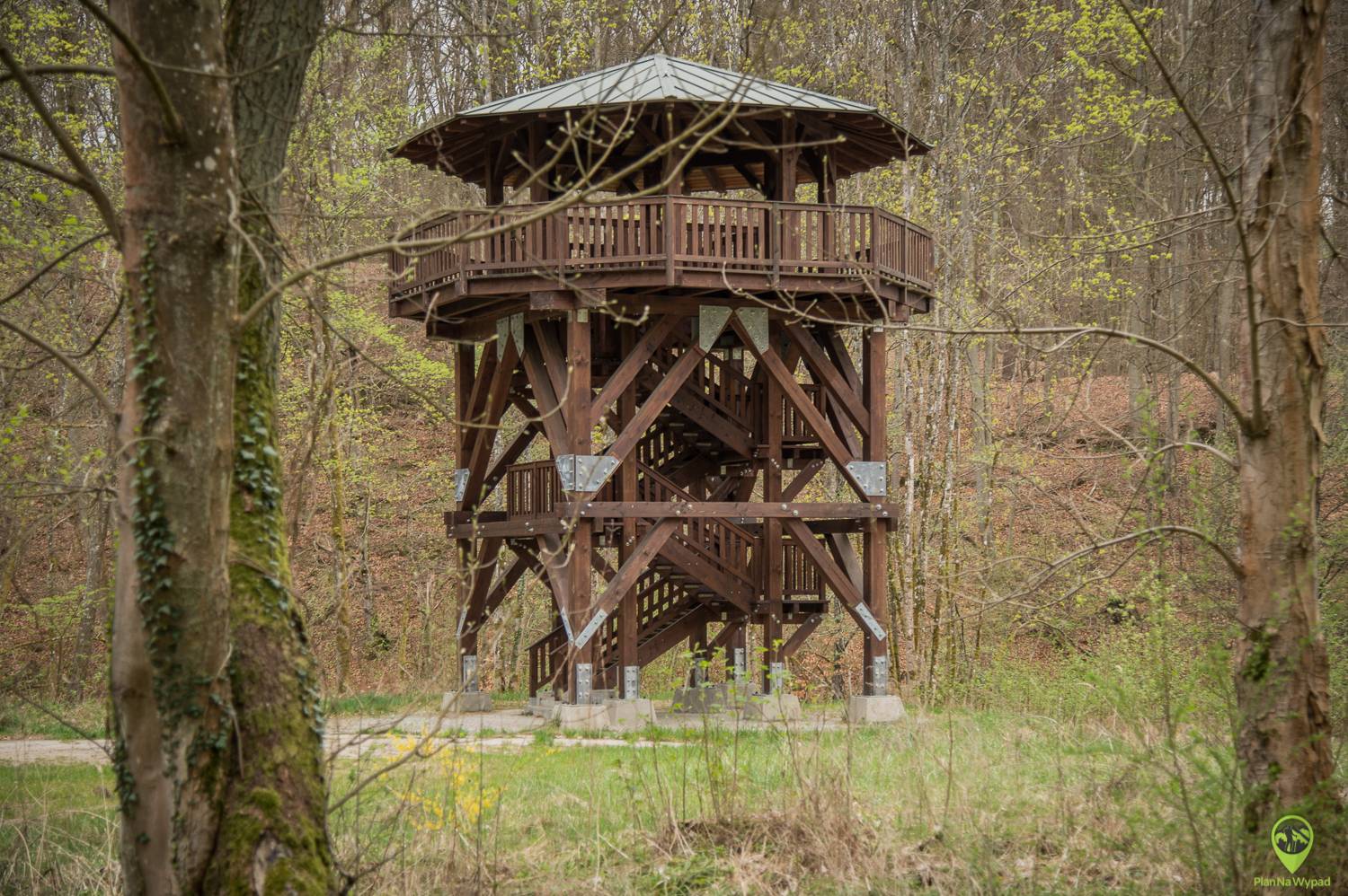 Drawieński Park Narodowy: TOP 10 atrakcje, szlaki, kajaki