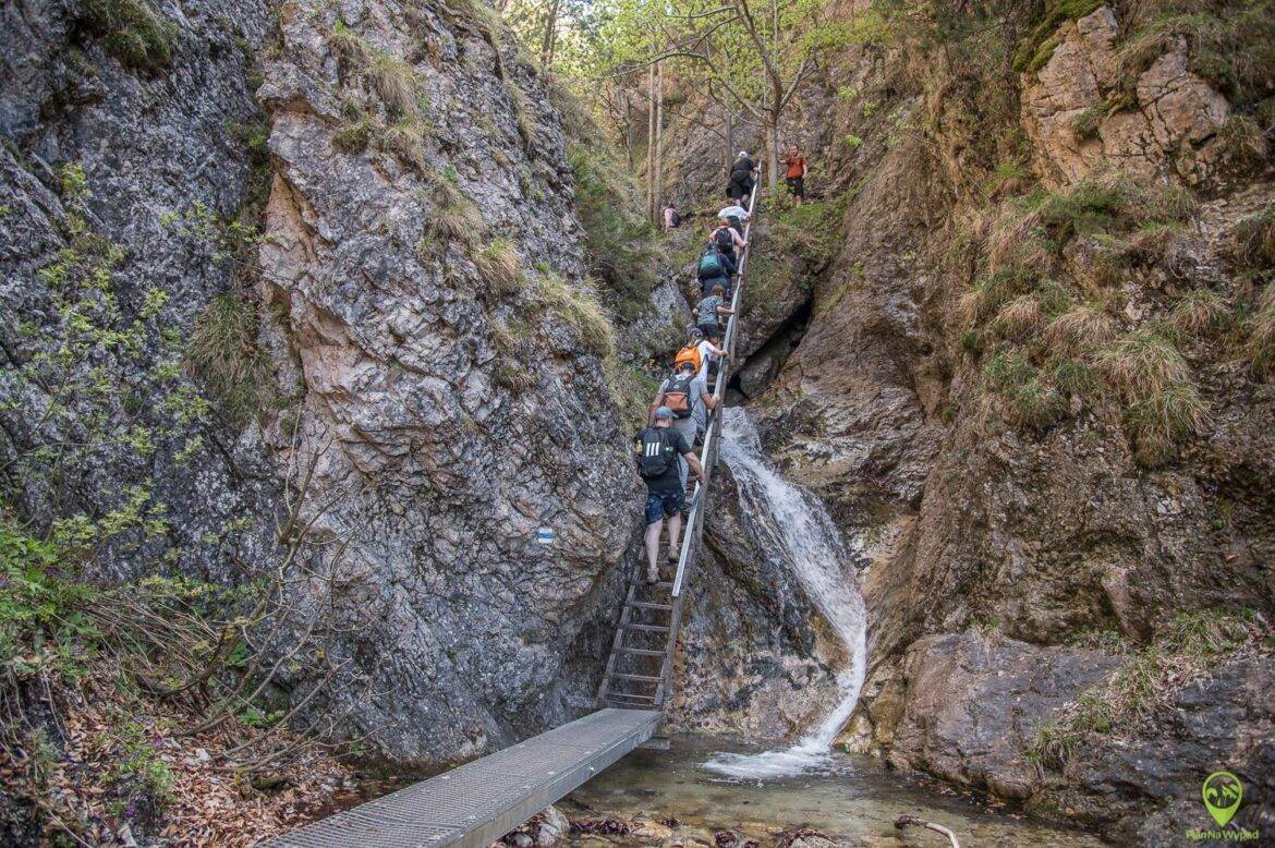 Janosikowe Diery najpiękniejszy szlak Małej Fatry: mapa, porady
